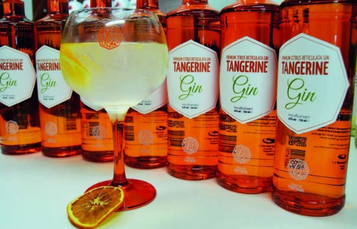 Tangerine Gin - Inside Algarve