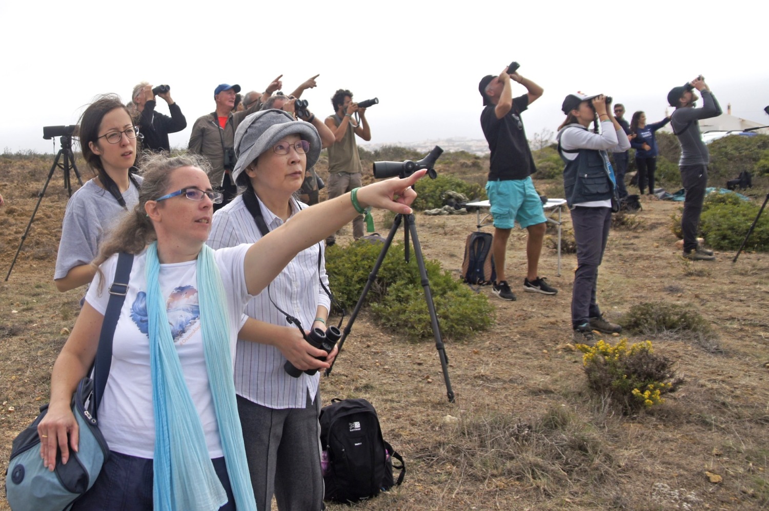 It’s time for the Sagres Birdwatching Festival! - Inside Algarve